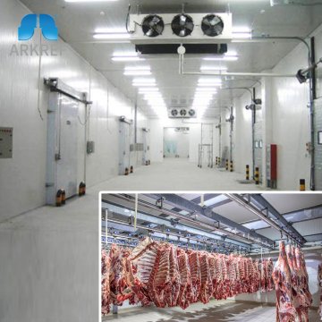 slaughter cold room|cold room|meat processing cold room